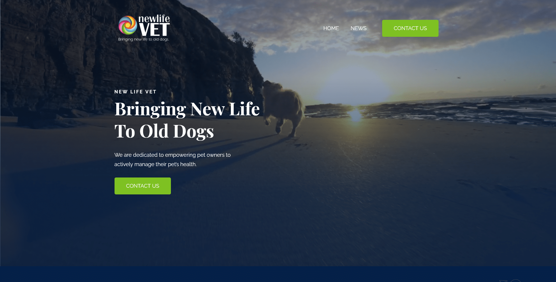 New Life Vet - Jezweb