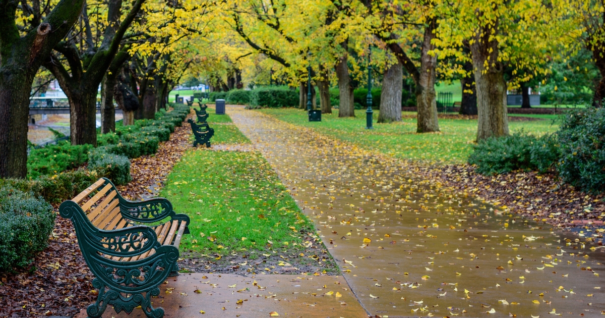 Web Design Bendigo - Jezweb